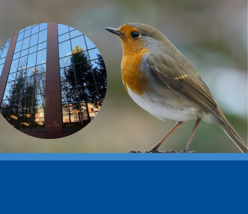 MEMIC - Workers' Compensation Insurance - Portland, Maine.